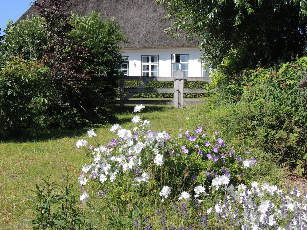 Ferienhaus mit gepflegtem Naturgarten und Schleiblick - Landhaus ...